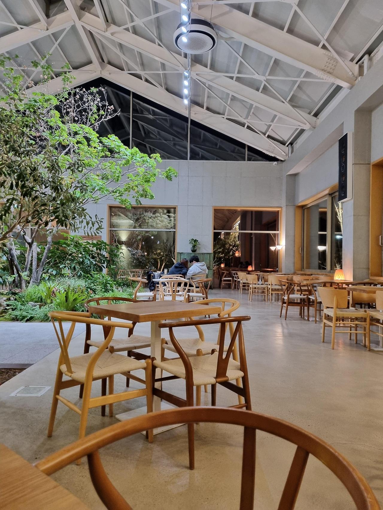 속초 시드누아 메뉴 주차 설악산전망 대형카페 속초당일여행