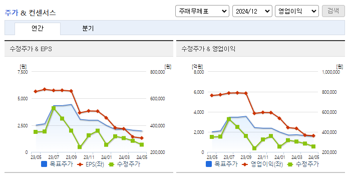 포스코퓨처엠 기업 분석 및 주가 전망 주식 분석