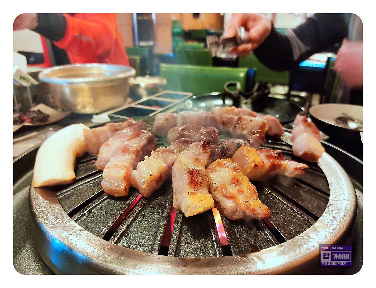 카테킨 성분 및 효과 부작용 녹차 카테킨 운동 후 다이어트 섭취후기