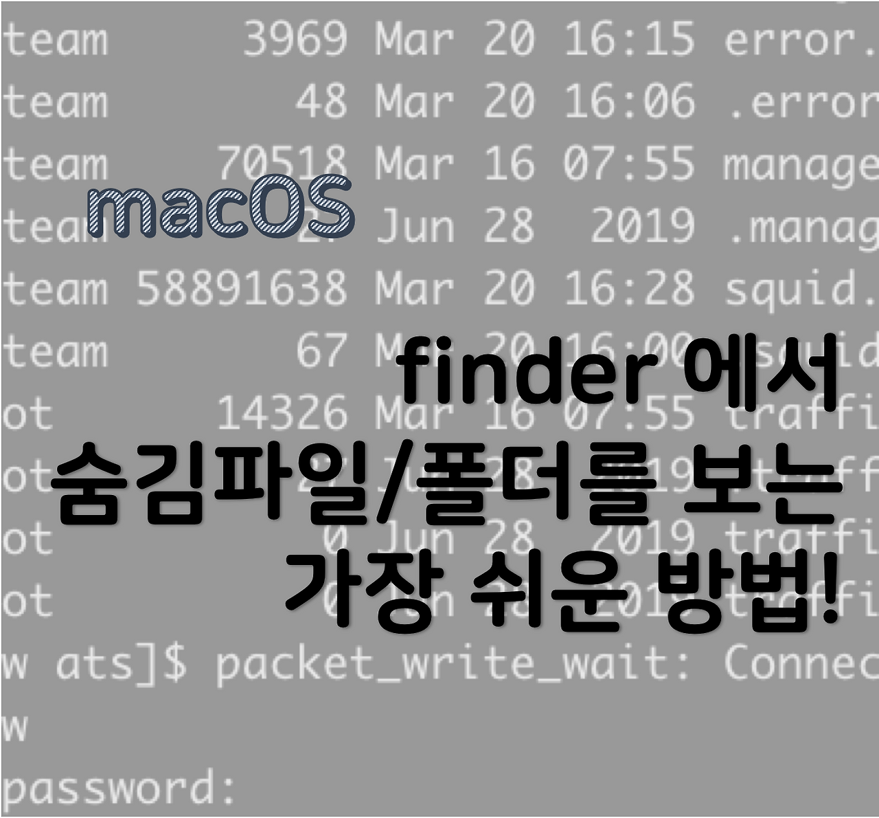 Macos Finder 에서 숨김 파일폴더를 보는 가장 쉬운 방법 Cloud Computing On Demand