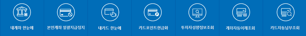계좌정보 통합관리서비스 홈페이지 (https://www.payinfo.or.kr)