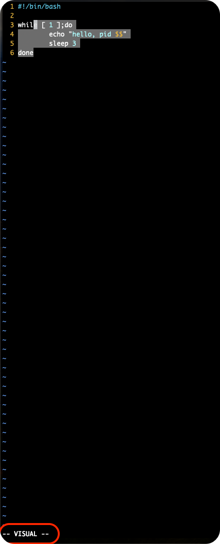 Vim 필수 기능 정리