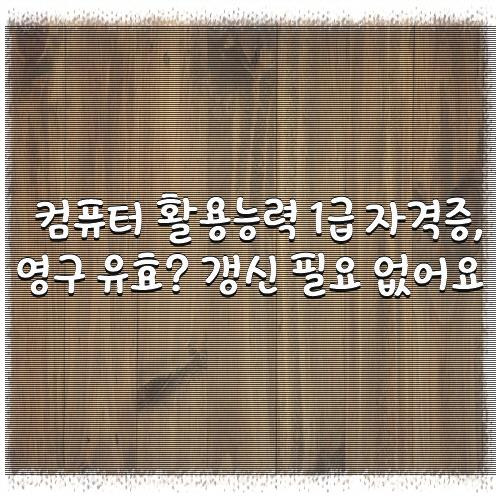컴퓨터 활용능력 1급 자격증 영구 유효 갱신 필요 없어요