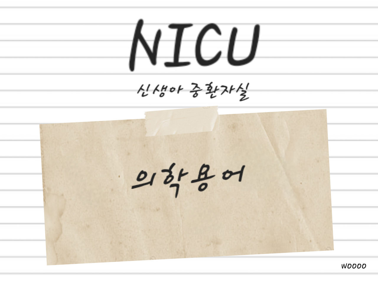 Nicu 신규 간호사 공부 의학용어 약어