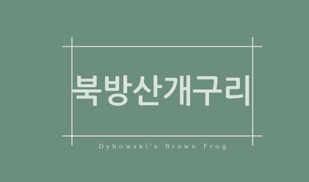 북방산개구리dybowskis Brown Frog특징서식지종류천적수명몸무게꿈해몽