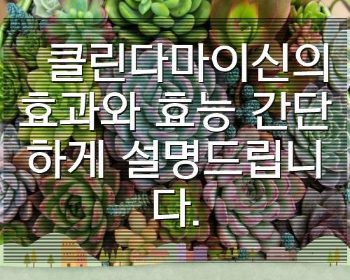 클린다마이신의 효과와 효능 간단하게 설명드립니다