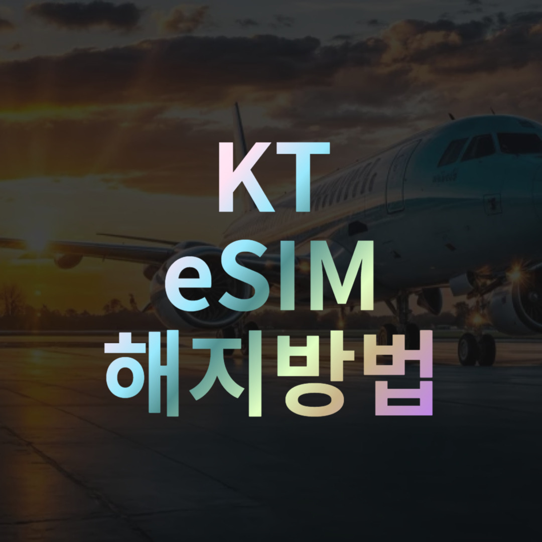 KT 케이티 eSIM 해지 방법