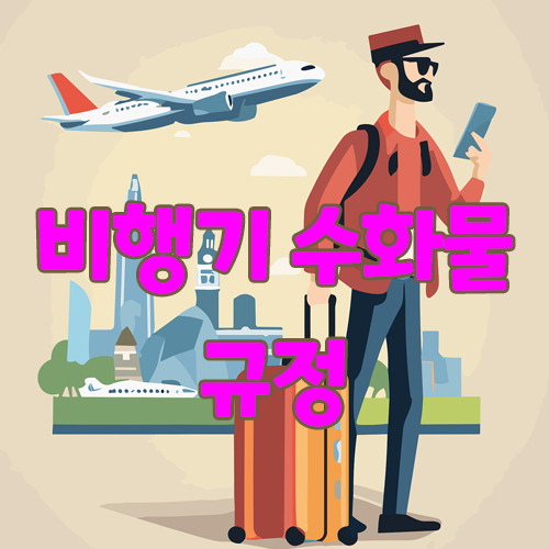 비행기 수화물 위탁수화물 규정 대한항공 아시아나 진에어