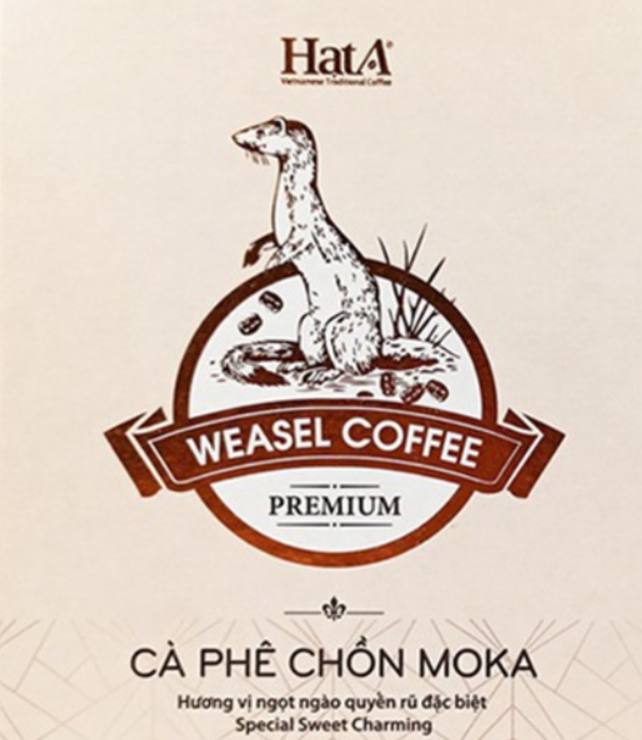 위즐 커피 Weasel Coffee 베트남 다낭에서 맛본 인생 커피