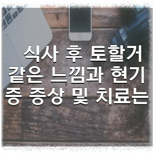 식사 후 토할거같은 느낌과 현기증 증상 및 치료는