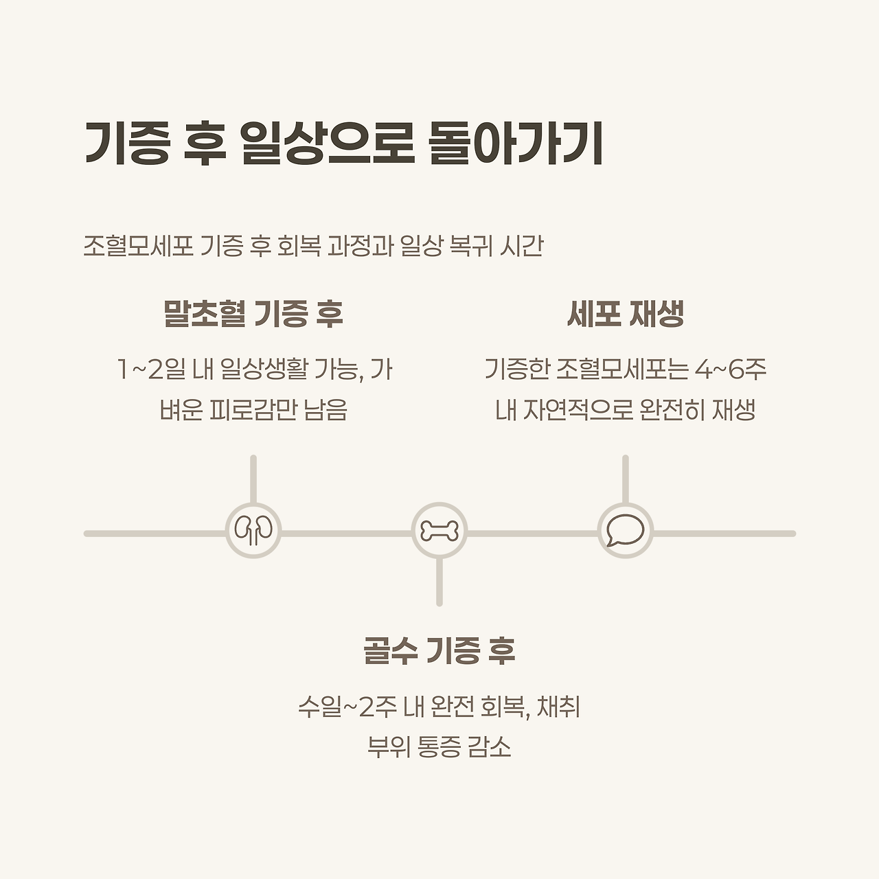 조혈모세포 이식 기증 방법과 절차 알아보기