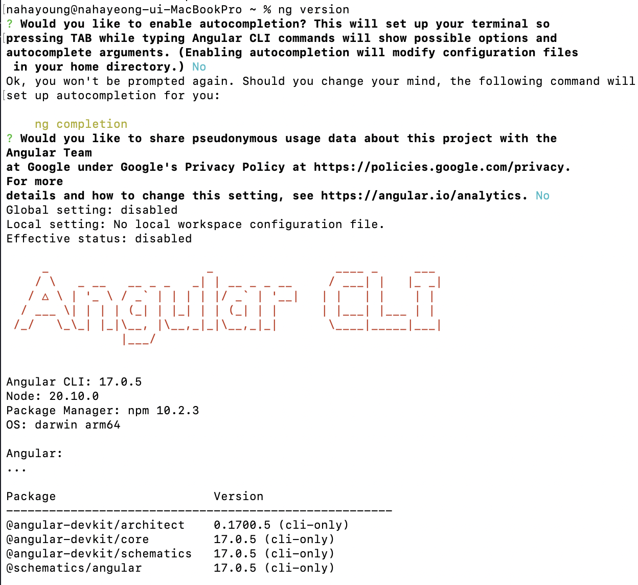 [Angular] Mac OS에서 Angular CLI 설치하기