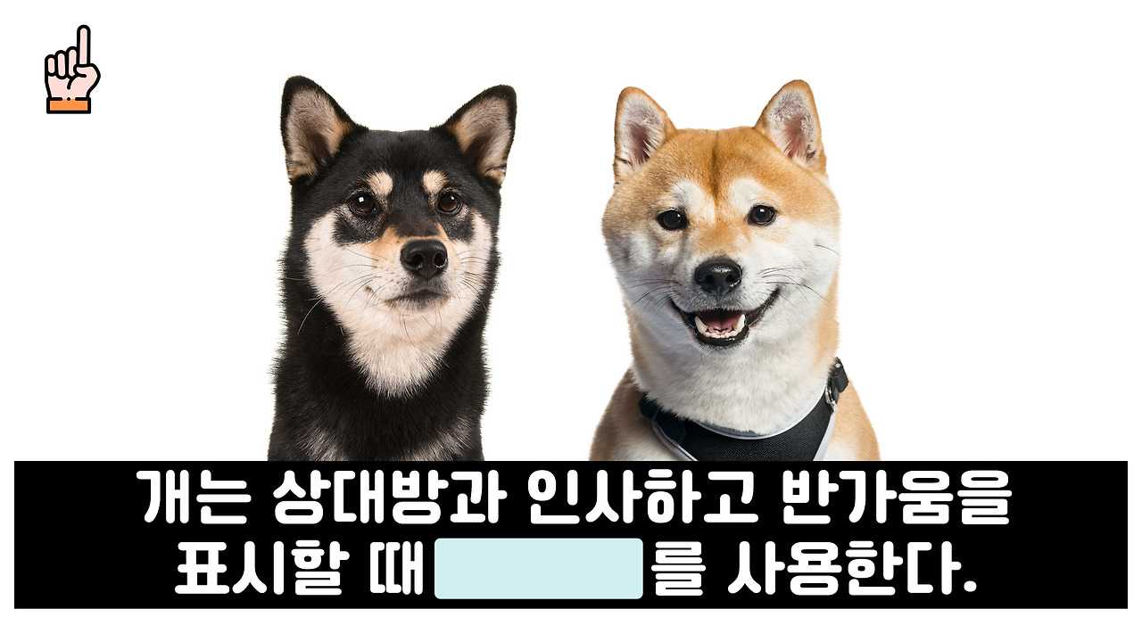 203 장애이해교육더하기신문2022학급이름표그림대회 모서리교실