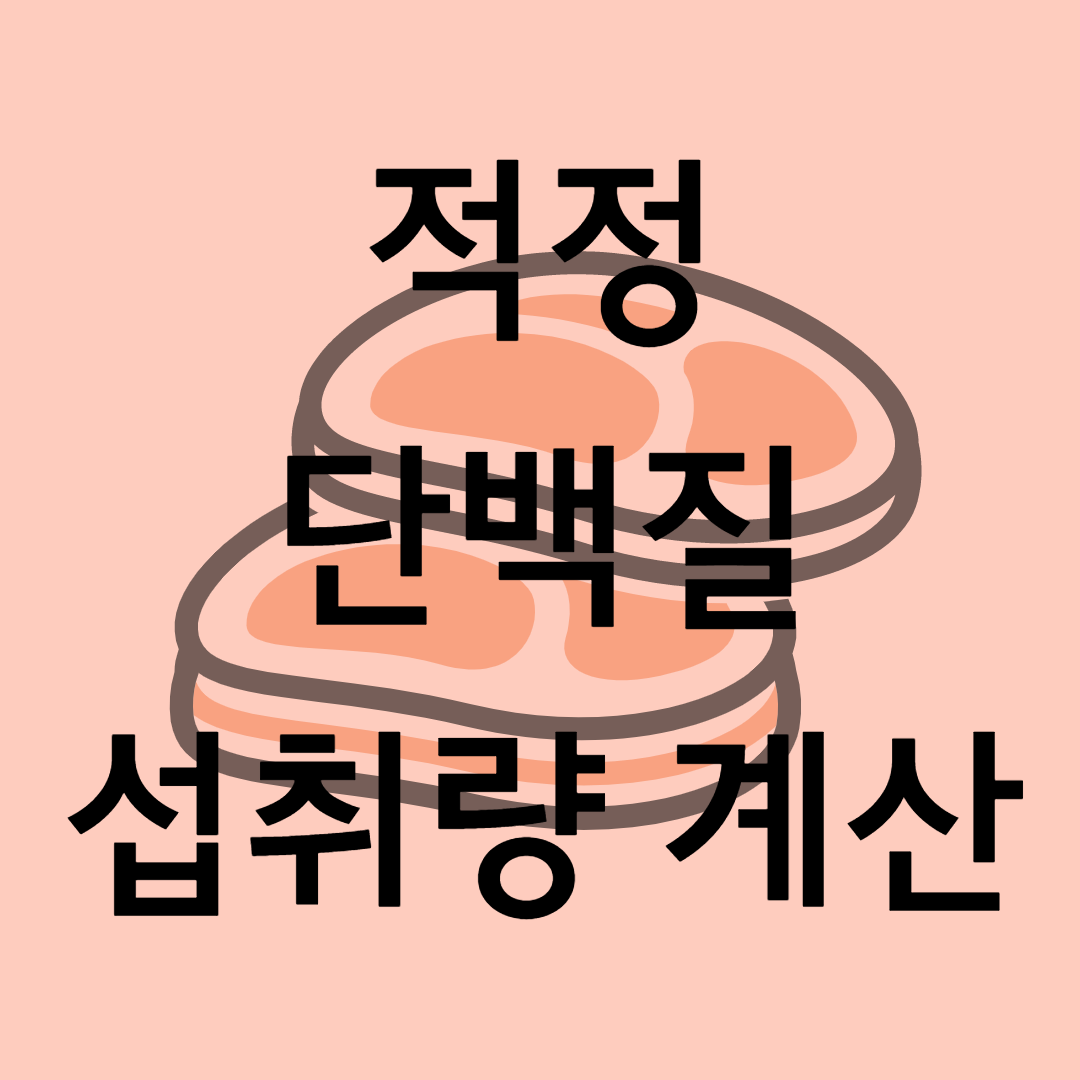 적정 단백질 섭취량 계산 방법