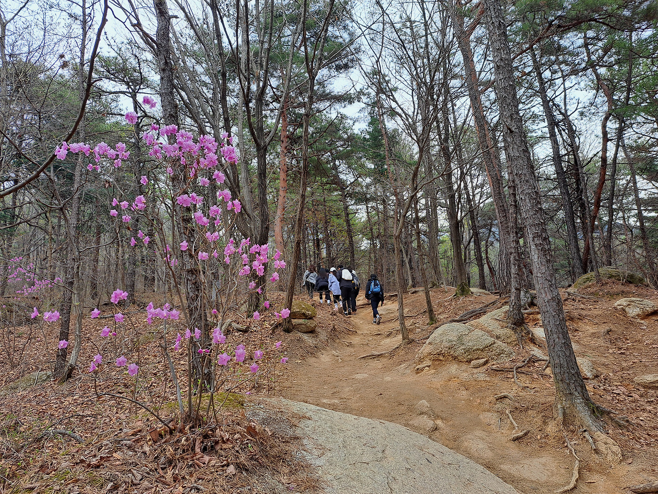 관악산 자운암능선 등산코스 정보자운암능선 연주대 사당능선