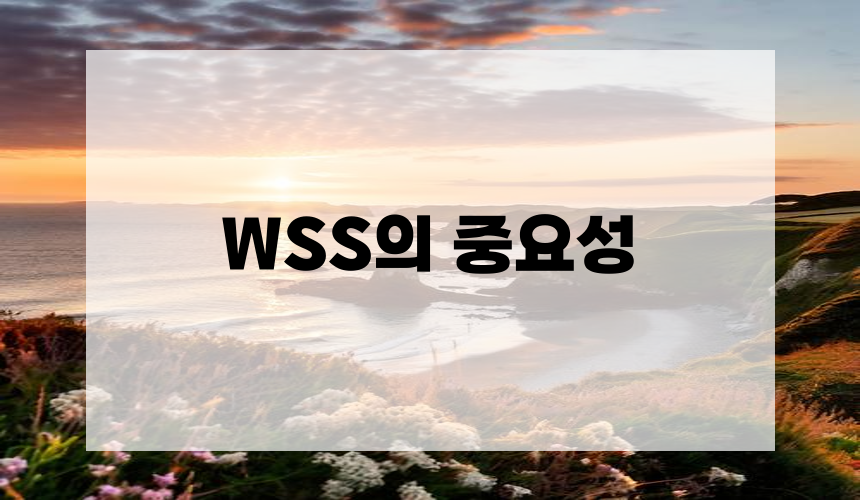 ws와 wss 차이점 알아보기 - 빠르게 보여준다