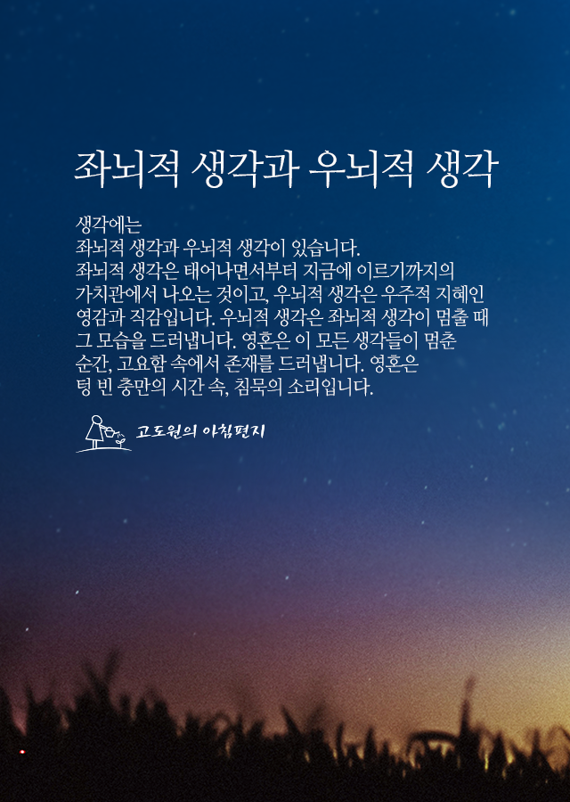 좌뇌적 생각과 우뇌적 생각 — 긍정적 사고 음식의 절제 규칙적인 운동