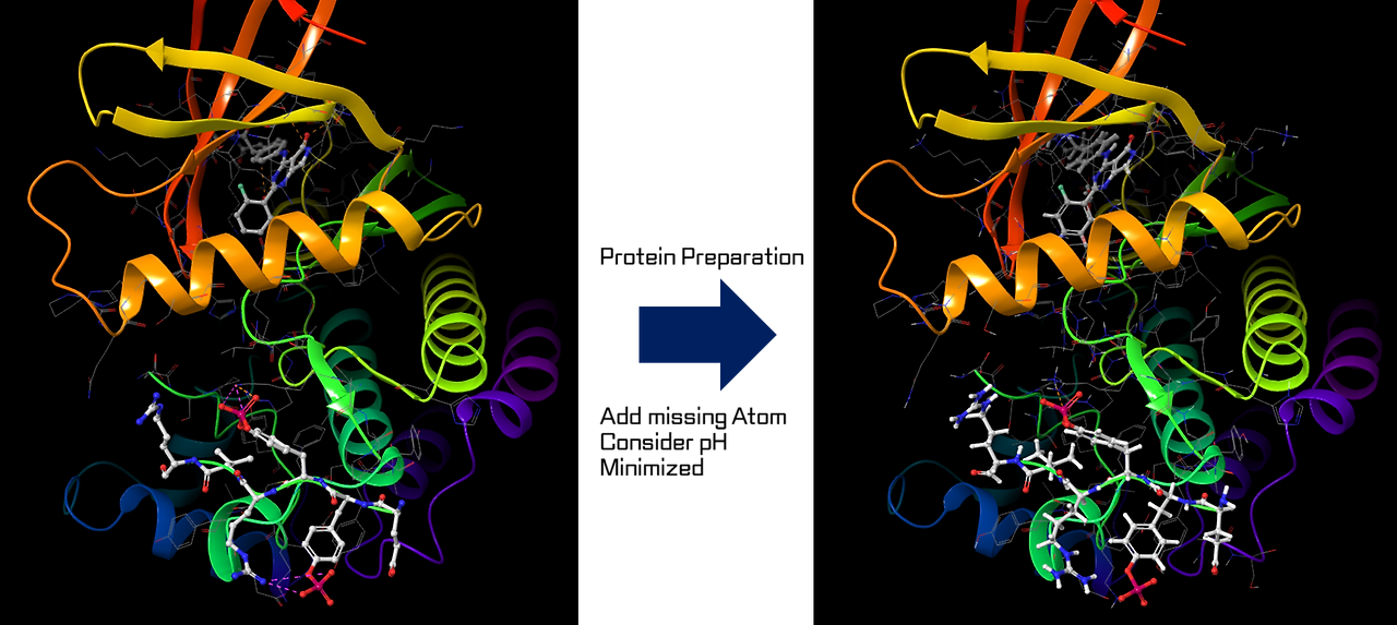 [10] Schrodinger Maestro : PDB로 부터 Protein 다루기