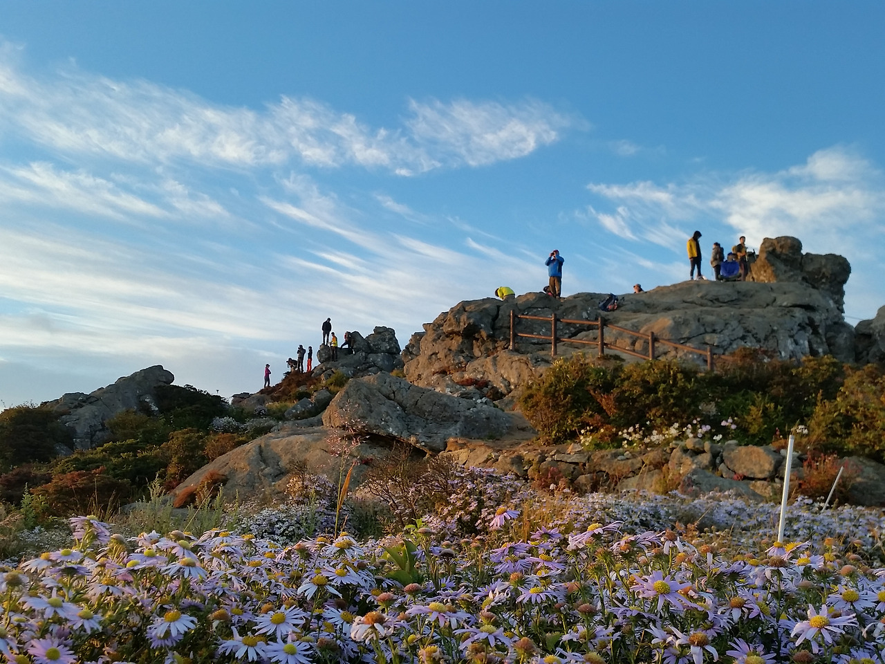 우리나라 최고 피아골 단풍