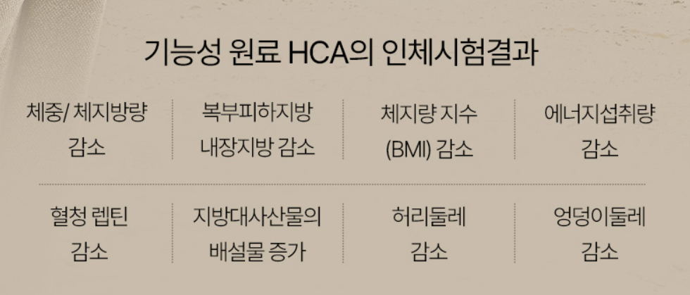 나이트버닝 팻버닝 와일드버닝 차이 푸응 다이어트 총정리