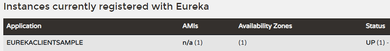 Spring Cloud Eureka 사용해보기