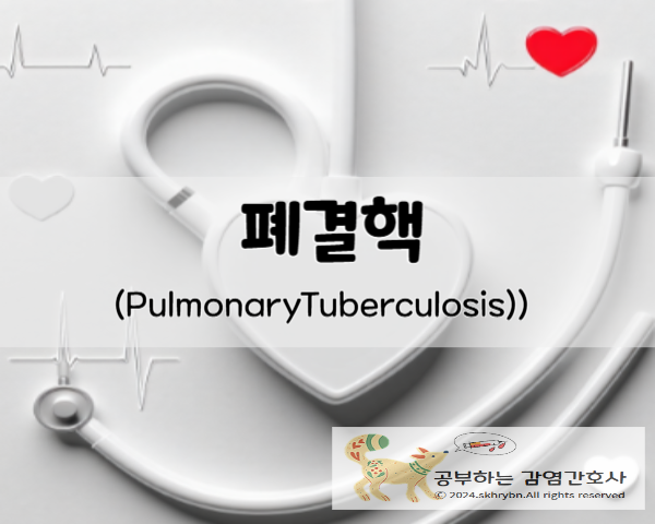 성인 간호폐결핵pulmonary Tuberculosis Tb 간호 진단 중재 과정