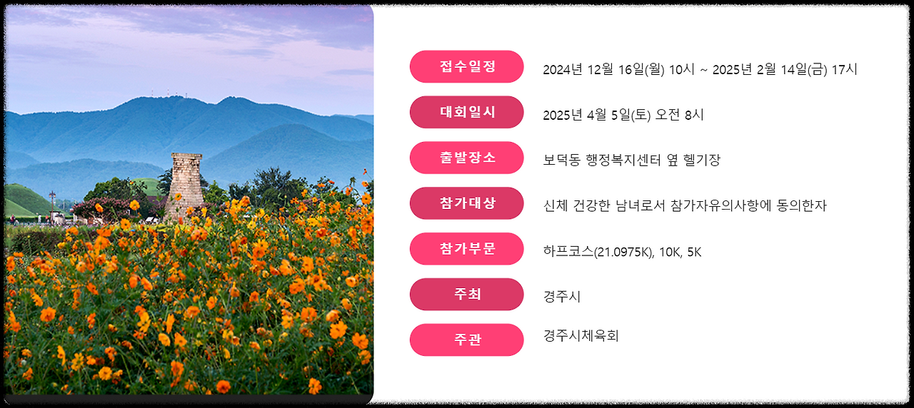2025 경주벚꽃마라톤대회 일정 신청 코스 준비물 완벽정리 벚꽃길을 달리는 설렘