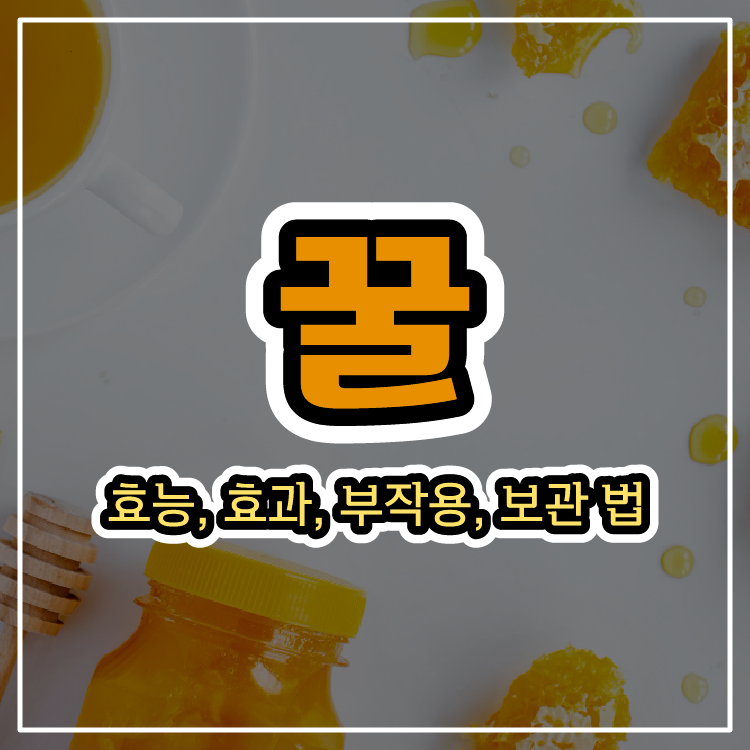 숙면에 좋은 꿀의 효능 부작용 보관 방법