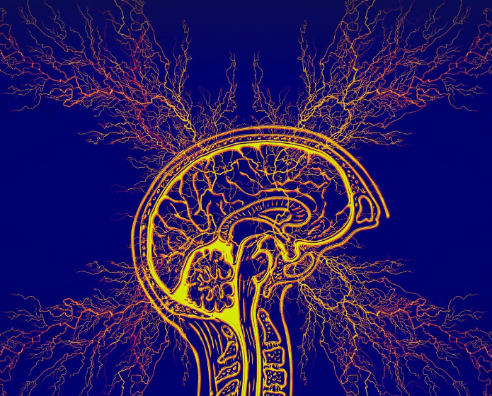 주의력결핍과잉행동장애, ADHD를 알아보자. :: WARDEN's Archive