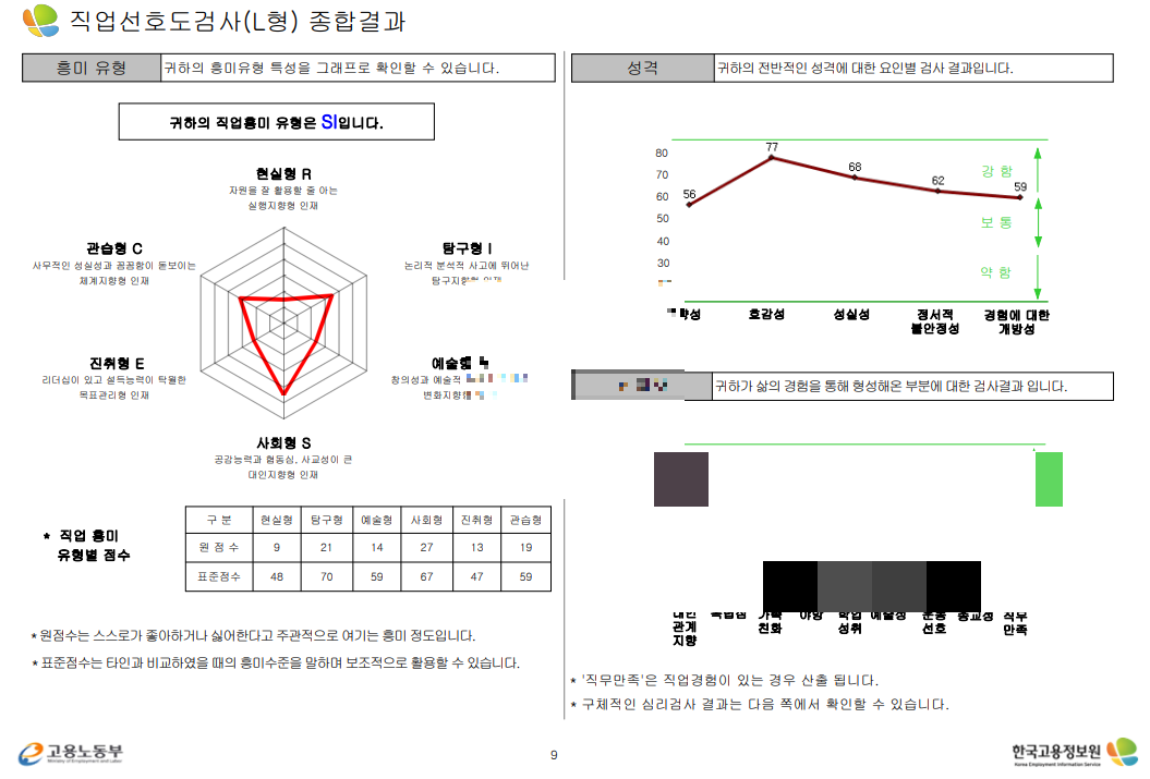 워크넷을 활용한 직업선호도 검사 실시 및 결과해석
