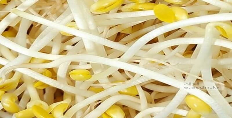 숙취해소에 좋은 콩나물 9가지 효능 음식궁합 부작용
