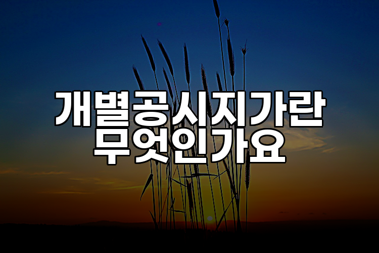 국토교통부 개별공시지가 조회방법