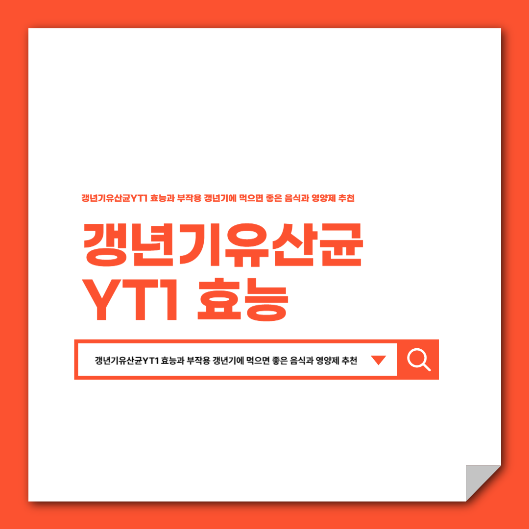 갱년기유산균YT1 효능과 부작용 갱년기에 먹으면 좋은 음식과 영양제 추천