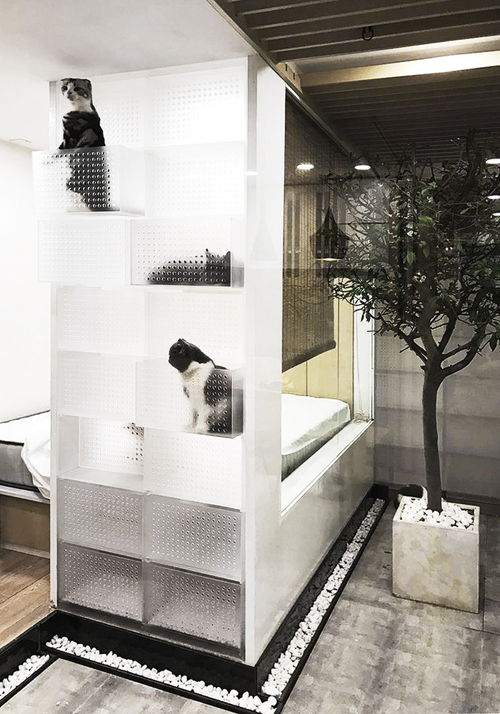 *고양이집사를 위한 캣 퍼니처 Cat Furniture: More Comfort and Health for Felines at Home
