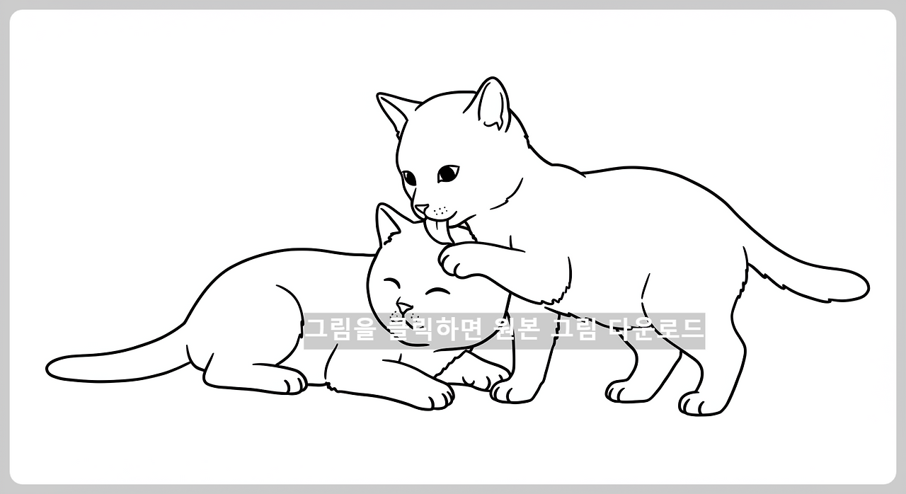 고양이 색칠 공부 도안다운로드 고양이의 신기한 습성🐾