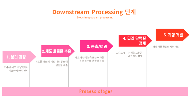 정제공정개발에서의 USP, DSP 이해하기