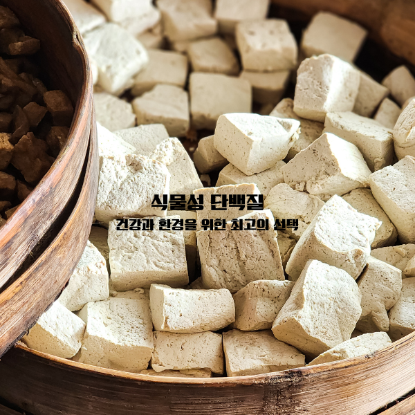 식물성 단백질 건강과 환경을 위한 최고의 선택