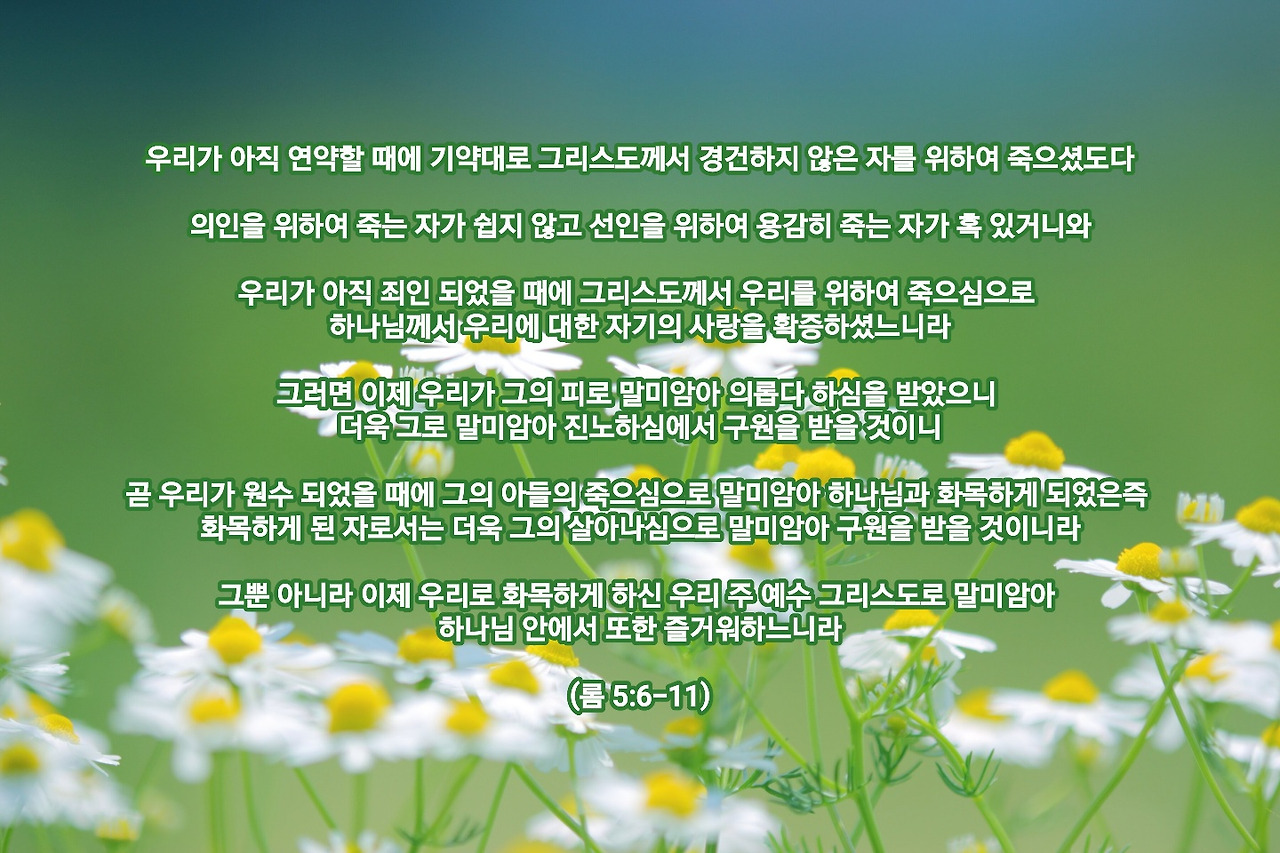 우리가 아직 죄인 되었을 때에 그리스도께서 우리를 위하여 죽으심으로 하나님께서 우리에 대한 자기의 사랑을 확증하셨느니라