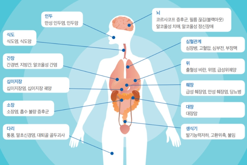 음주가 우리몸에 미치는 영향