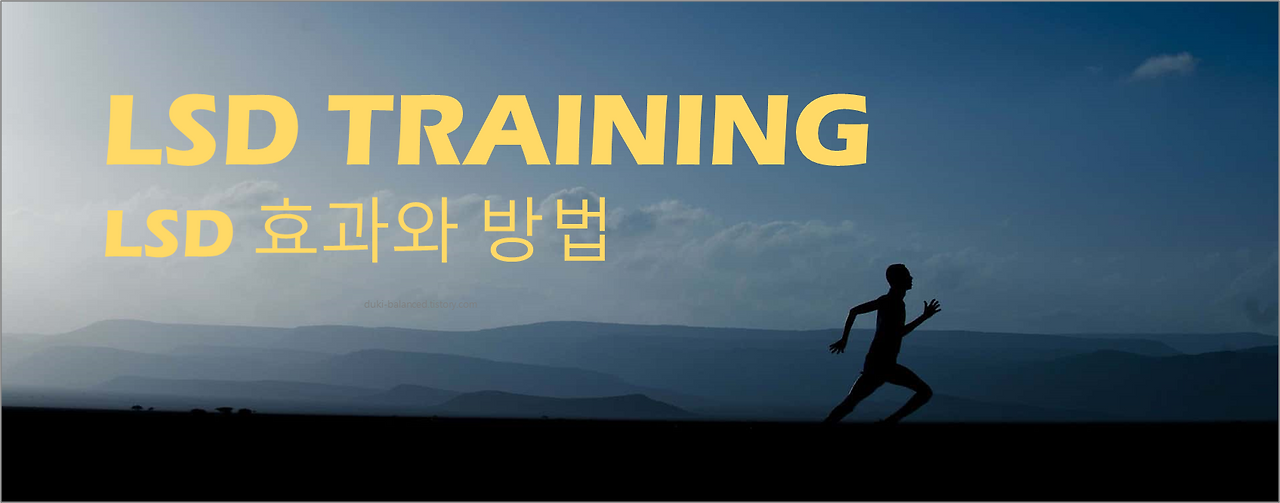 LSD 마라톤 훈련: Long Slow Distance의 효과와 방법
