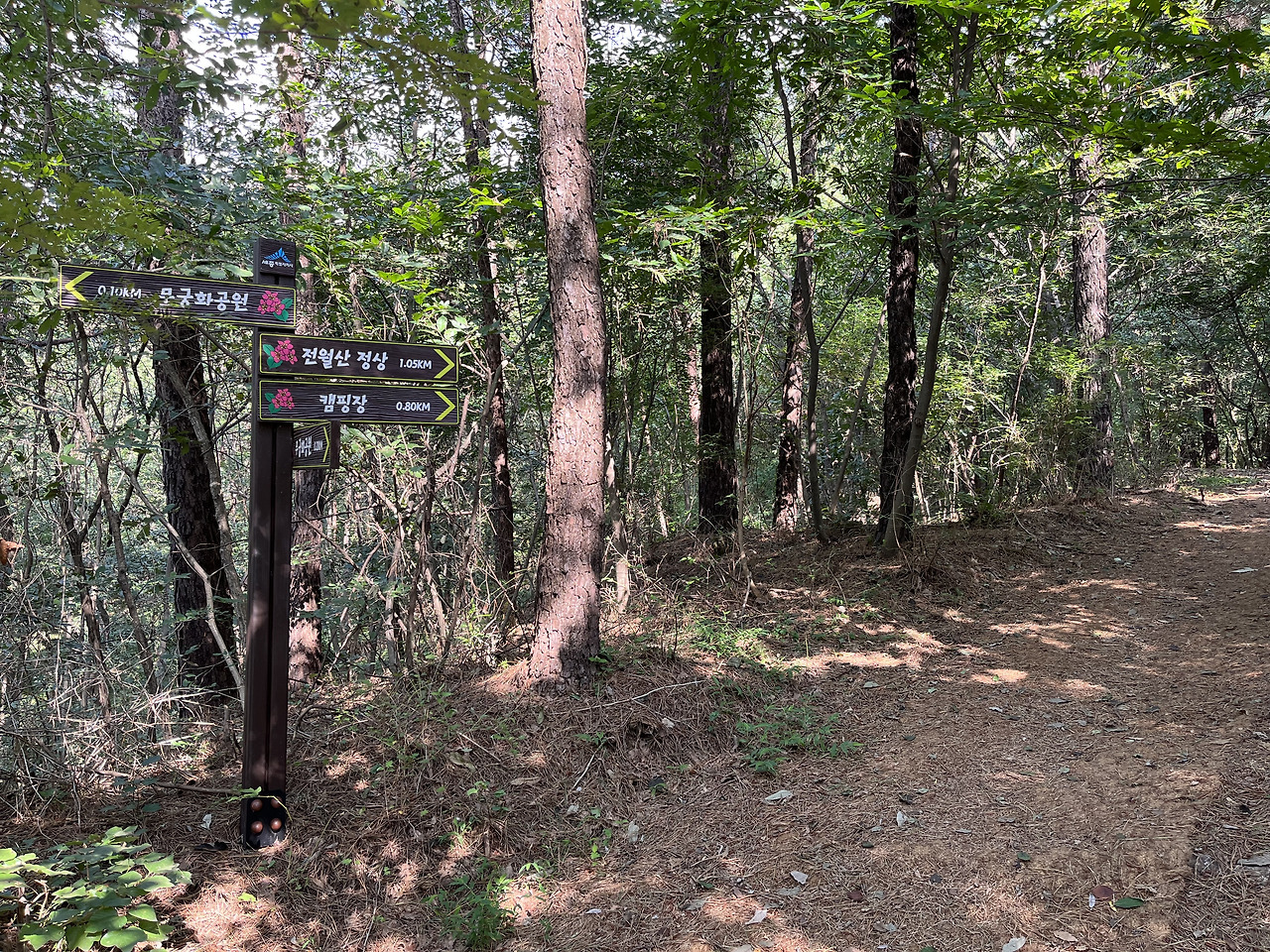 세종시 가볼만한 곳 전월산 등산 코스