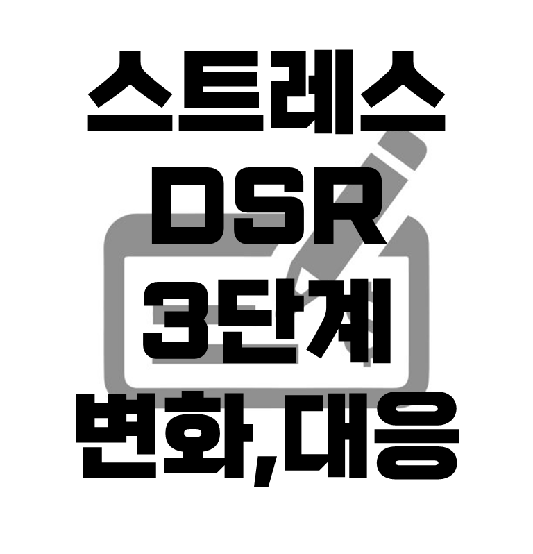 스트레스 DSR 3단계 완벽 정리 - 대출 심사 기준 변화와 실전 대응법