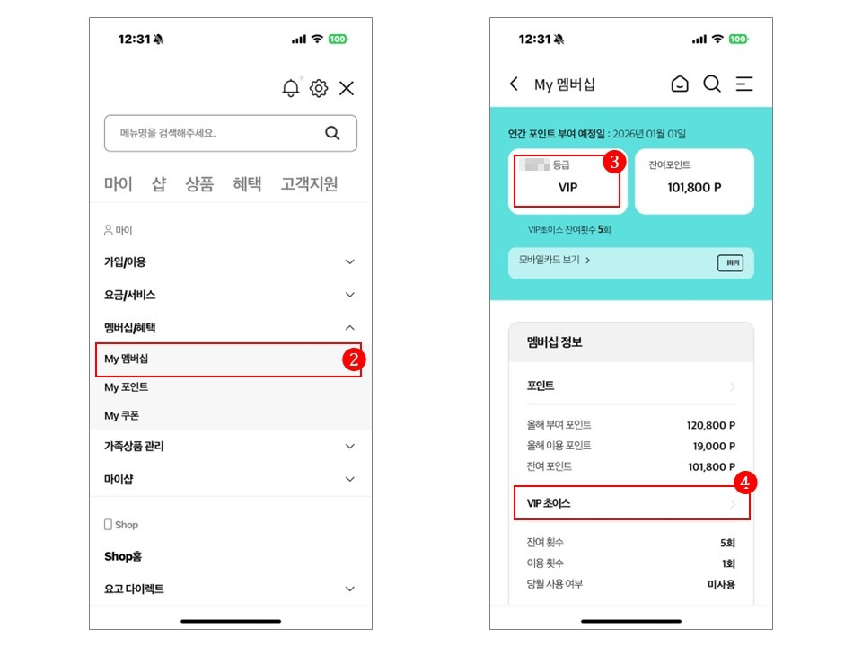 KT VIP & VVIP 멤버십 혜택 총정리, 제대로 누려보세요! 💎