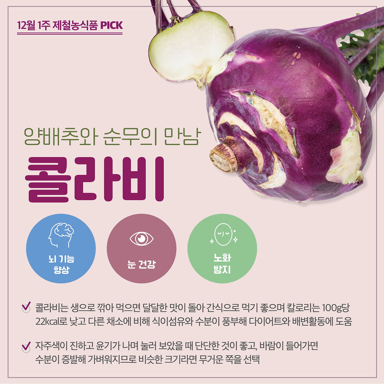 콜라비 효능 부작용 영양성분 먹는방법 수확시기 제철 하루섭취량