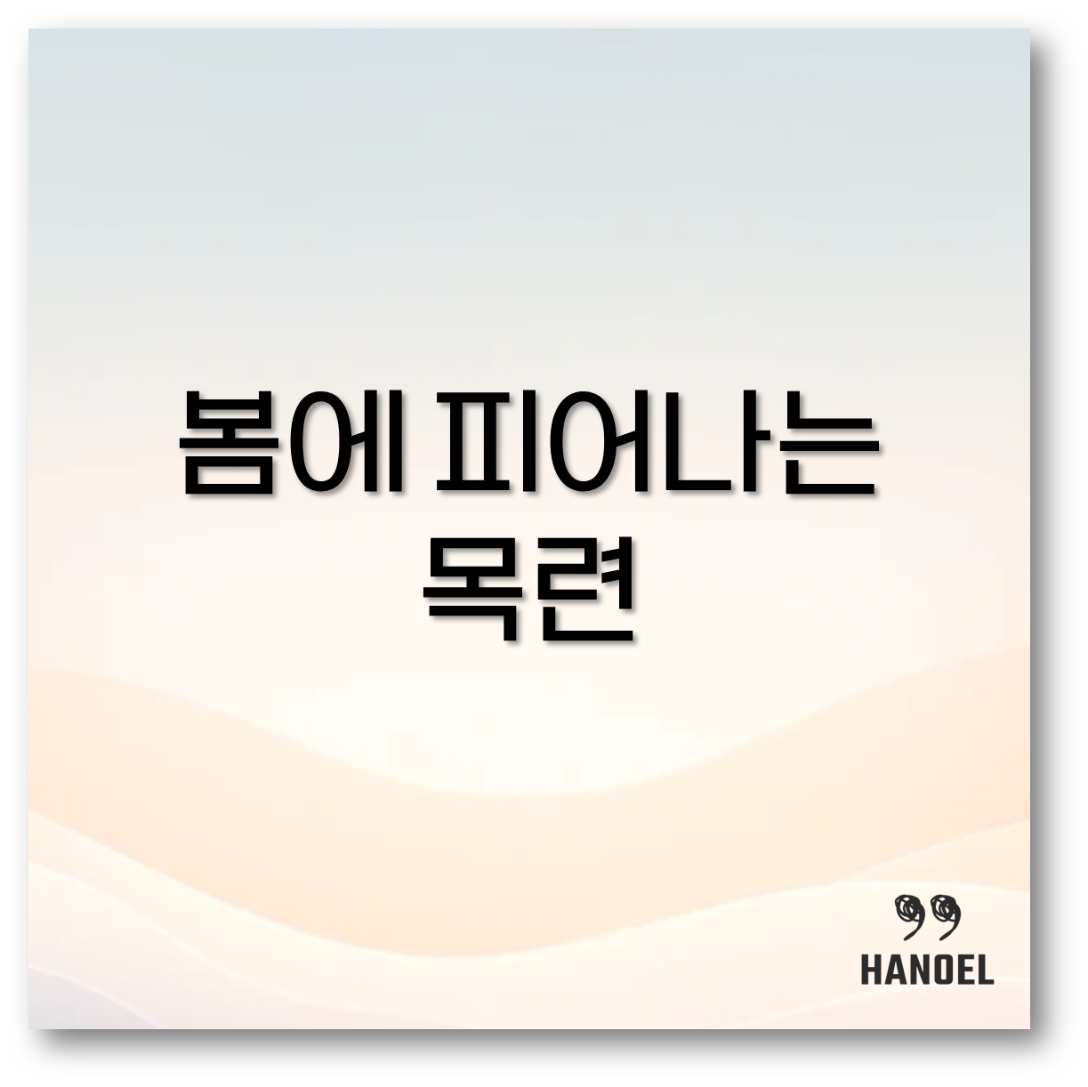 봄에 피어나는 목련 꽃말 개화시기 목련차 효능까지 매력 알아봅시다
