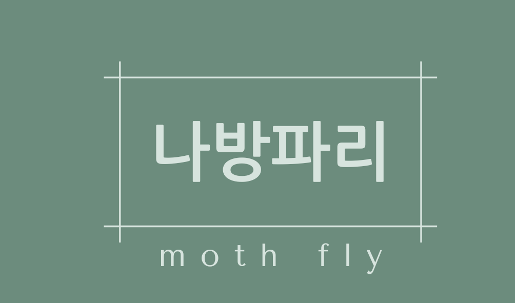 날파리 나방파리moth Fly특징서식지종류천적수명몸무게꿈해몽