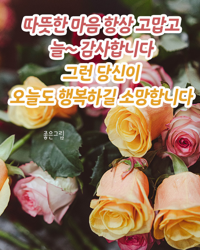 행복하세요 안부 인사말 이미지 문구 모음집