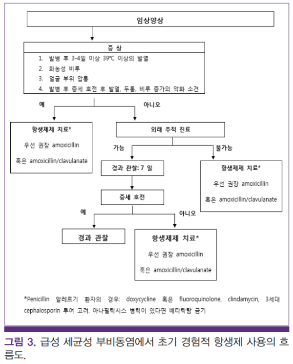 감기인데 항생제를 쓰는 이유