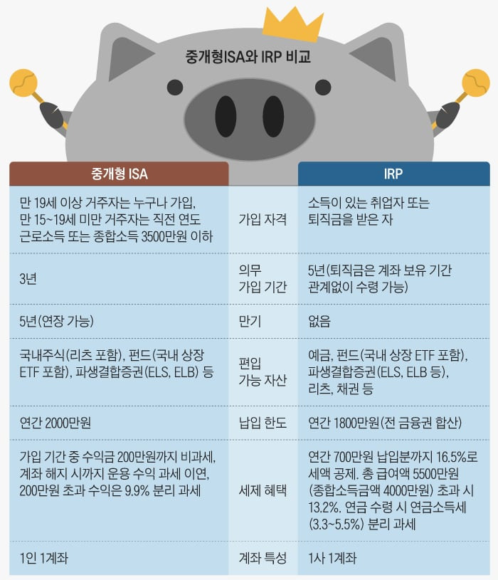 ISA vs IRP 차이점 비교 :: 건강 쉼표