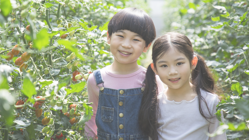 보육통합정보시스템 (https://cpms.childcare.go.kr) 사이트 바로가기